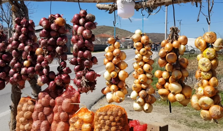 Përgjysmohet prodhimi i qepëve; fermerët e Shkodrës kërkojnë mbështetje ...
