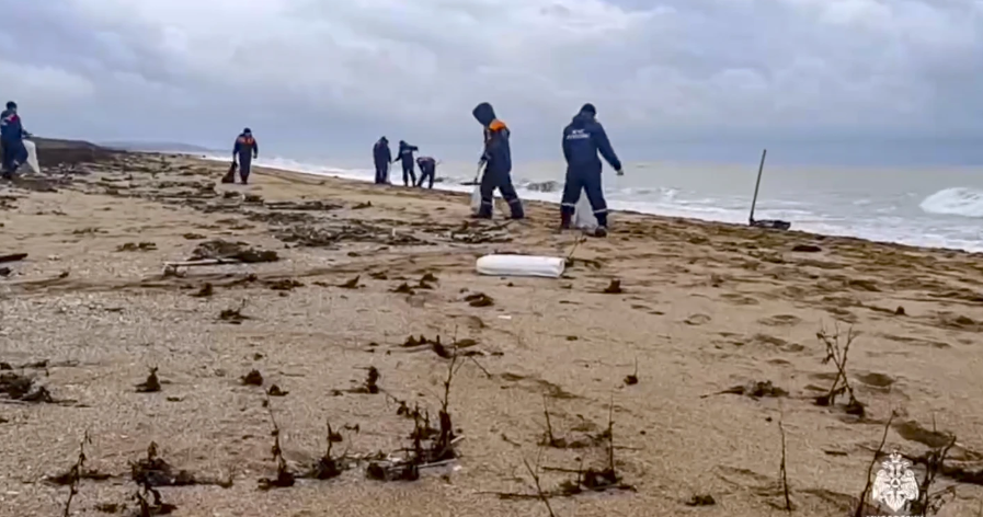 Fundosja e cisternave ruse me naftë, mbi 30 delfinë gjenden të ngordhur ...